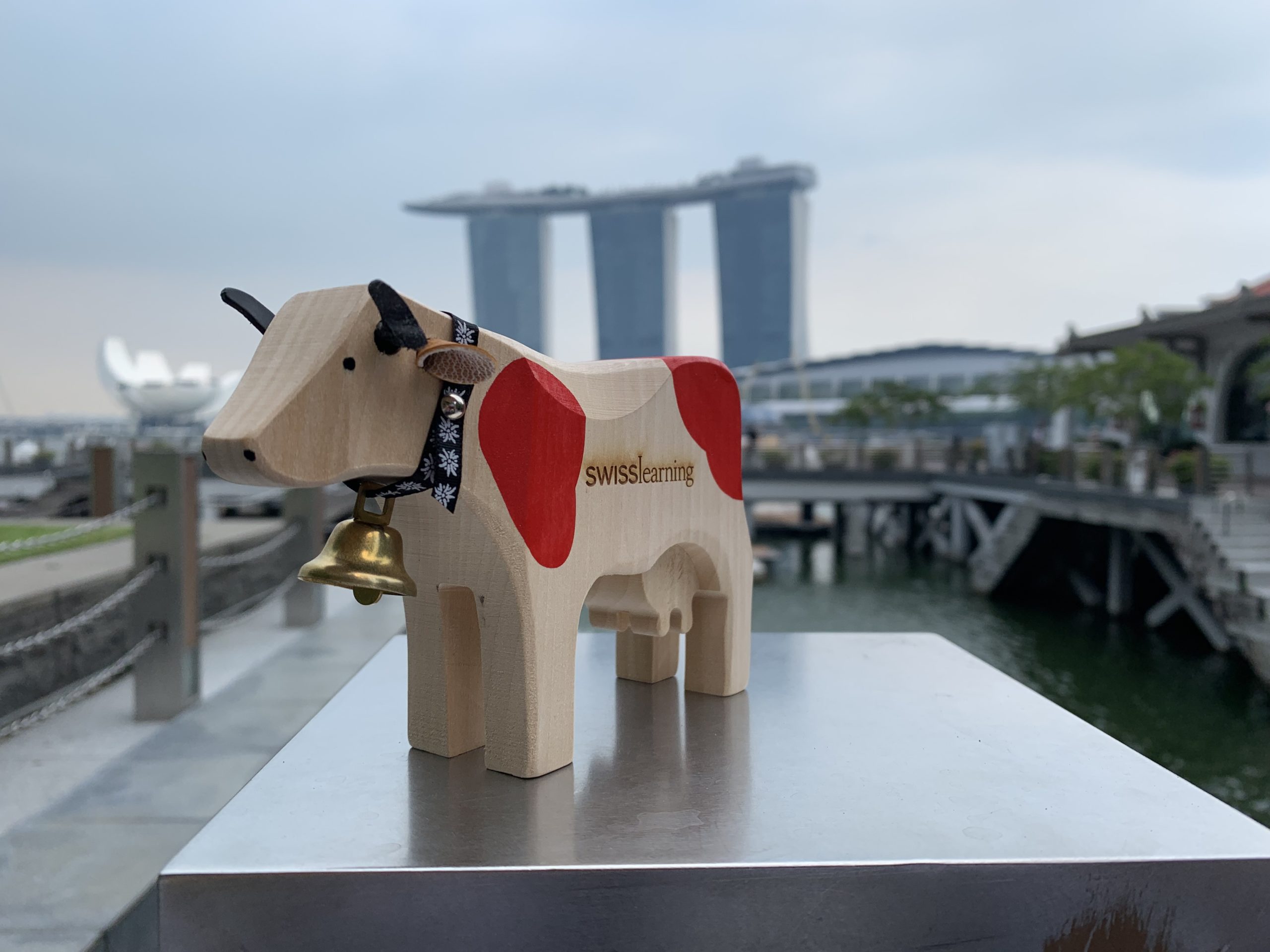 Swiss Learning в Майами 8 октября 2024 г.